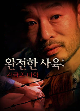 小小影视 - 超清影视VIP俱乐部